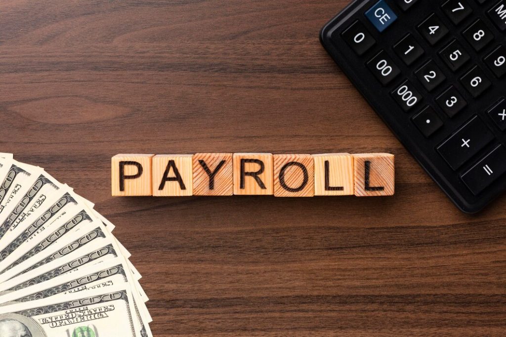 Payroll - PayGURU Technosoft