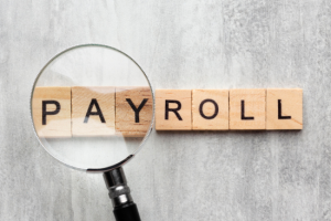 Payroll - PayGURU Technosoft
